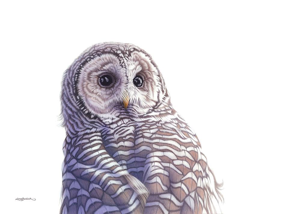 Karen Baddock : Southern Art House Tour