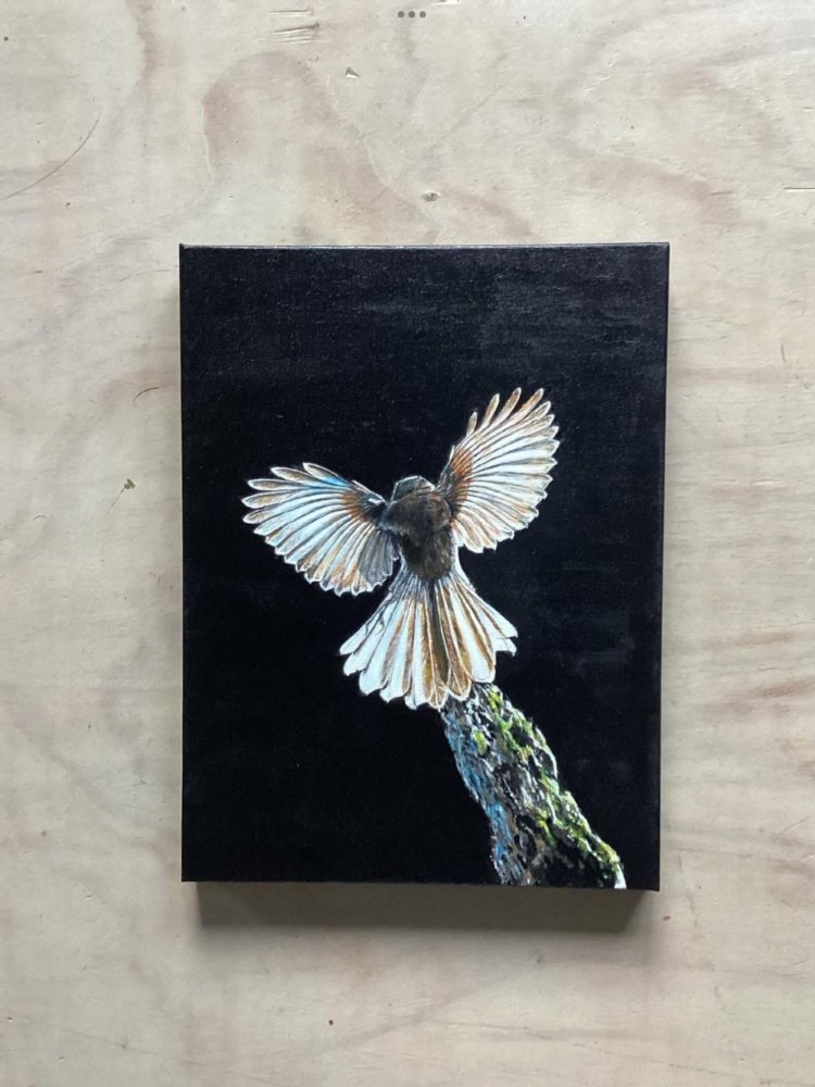 Fantail : Southern Art House Tour