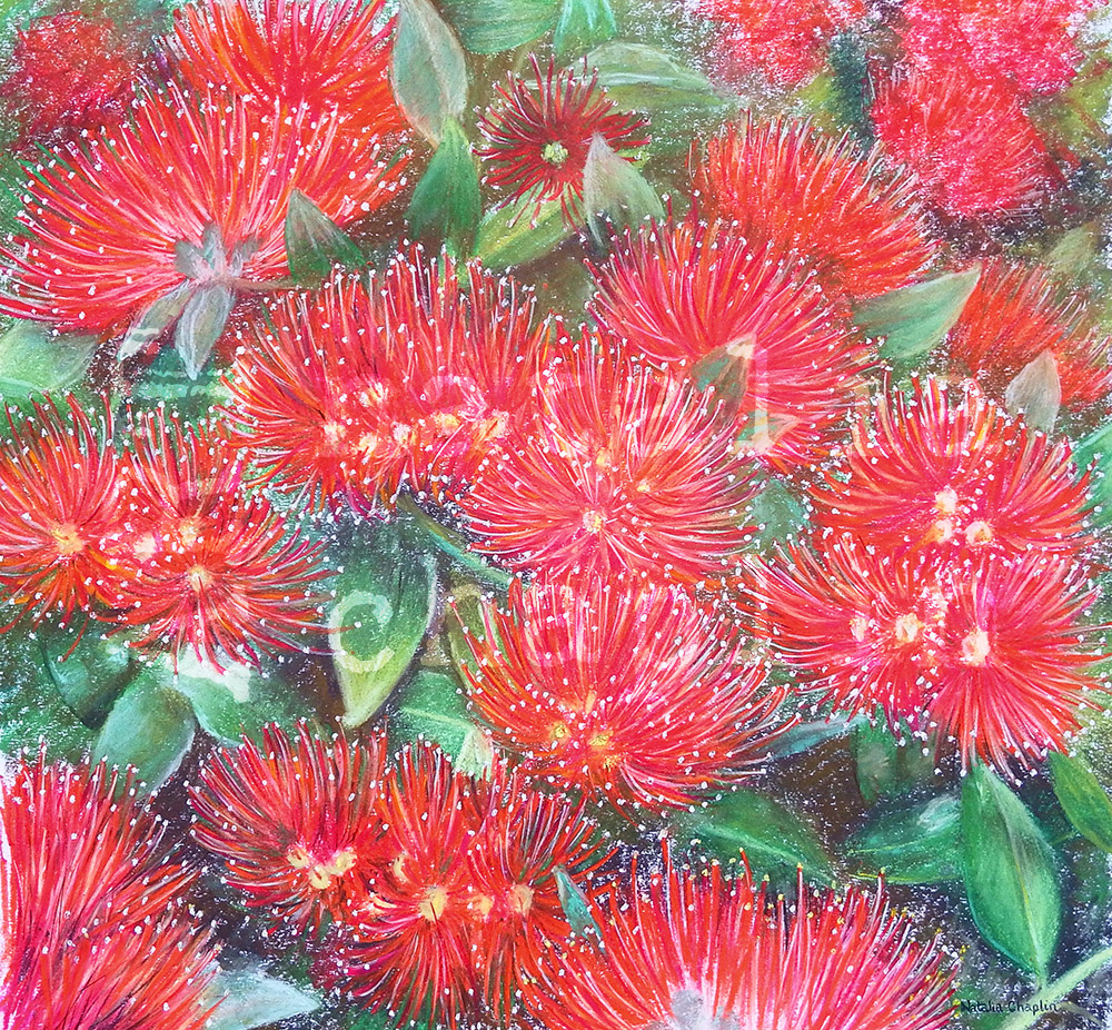 Pohutukawa : Southern Art House Tour